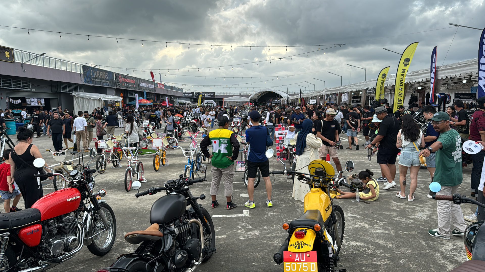 The Wicked Wallop 2024