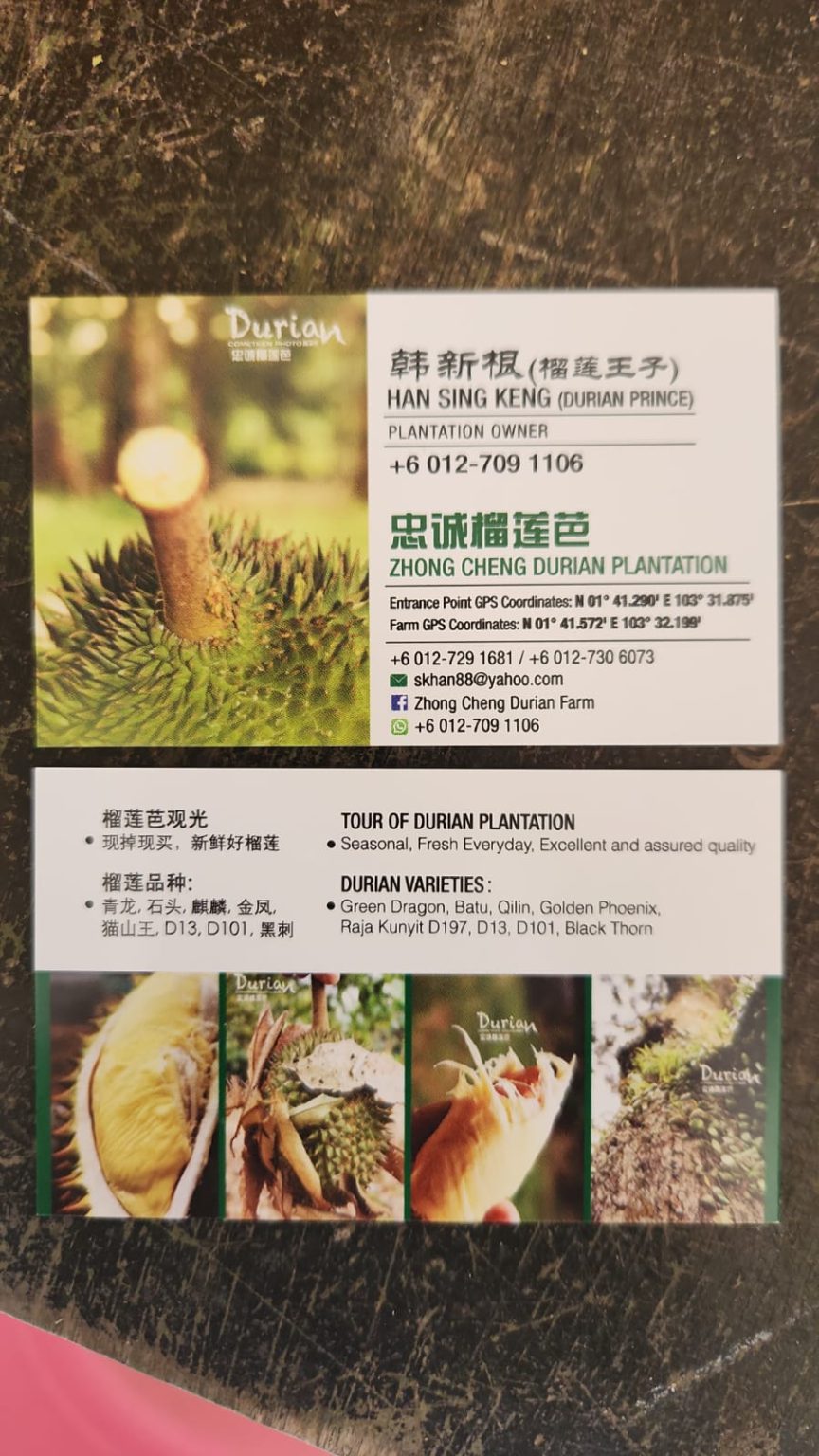 My visit to Zhong Cheng Durian Plantation - Little Big Red Dot