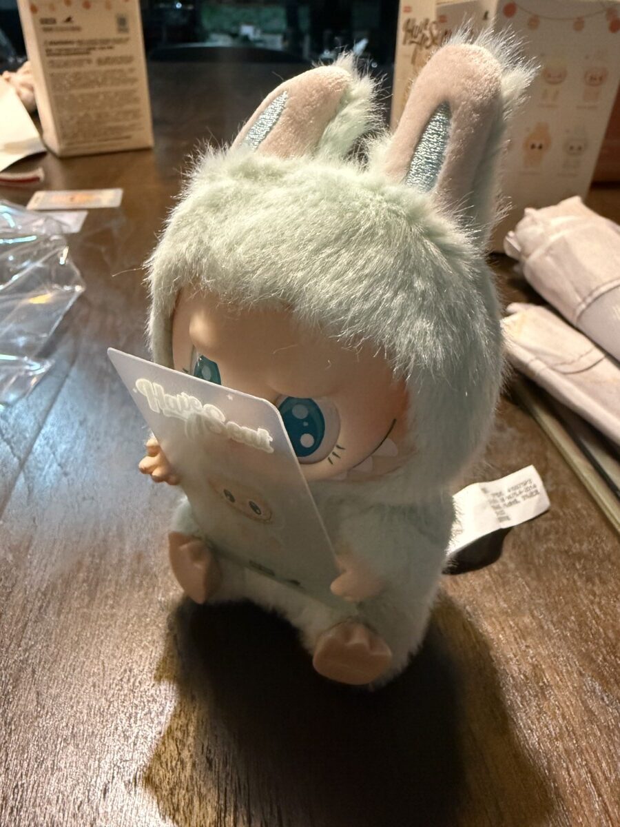 What is the Labubu craze?