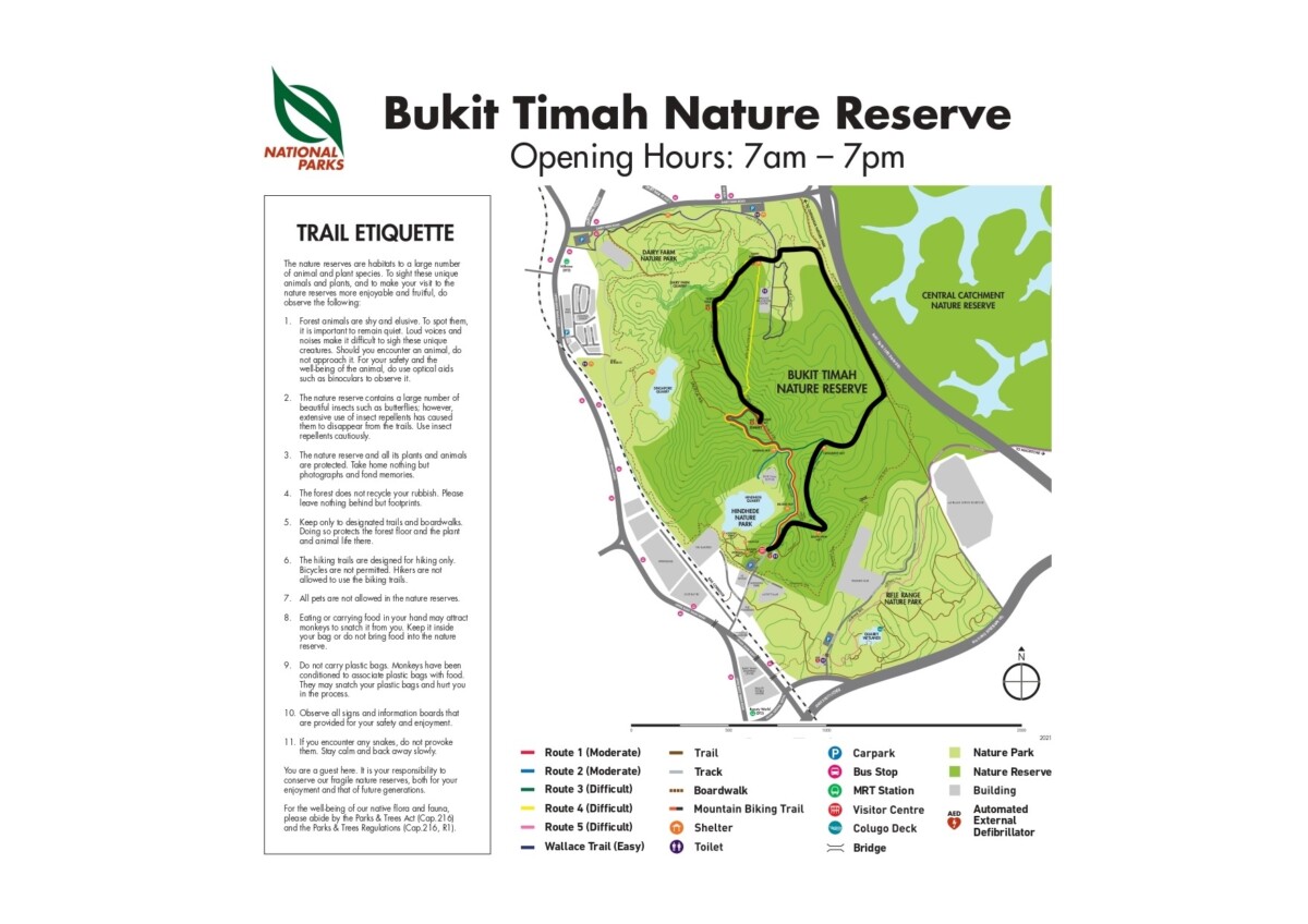 Hiking at Bukit Timah Nature Reserve. The best place to hike in Singapore.