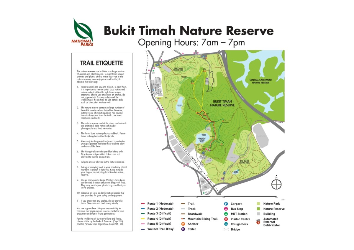Hiking at Bukit Timah Nature Reserve. The best place to hike in Singapore.