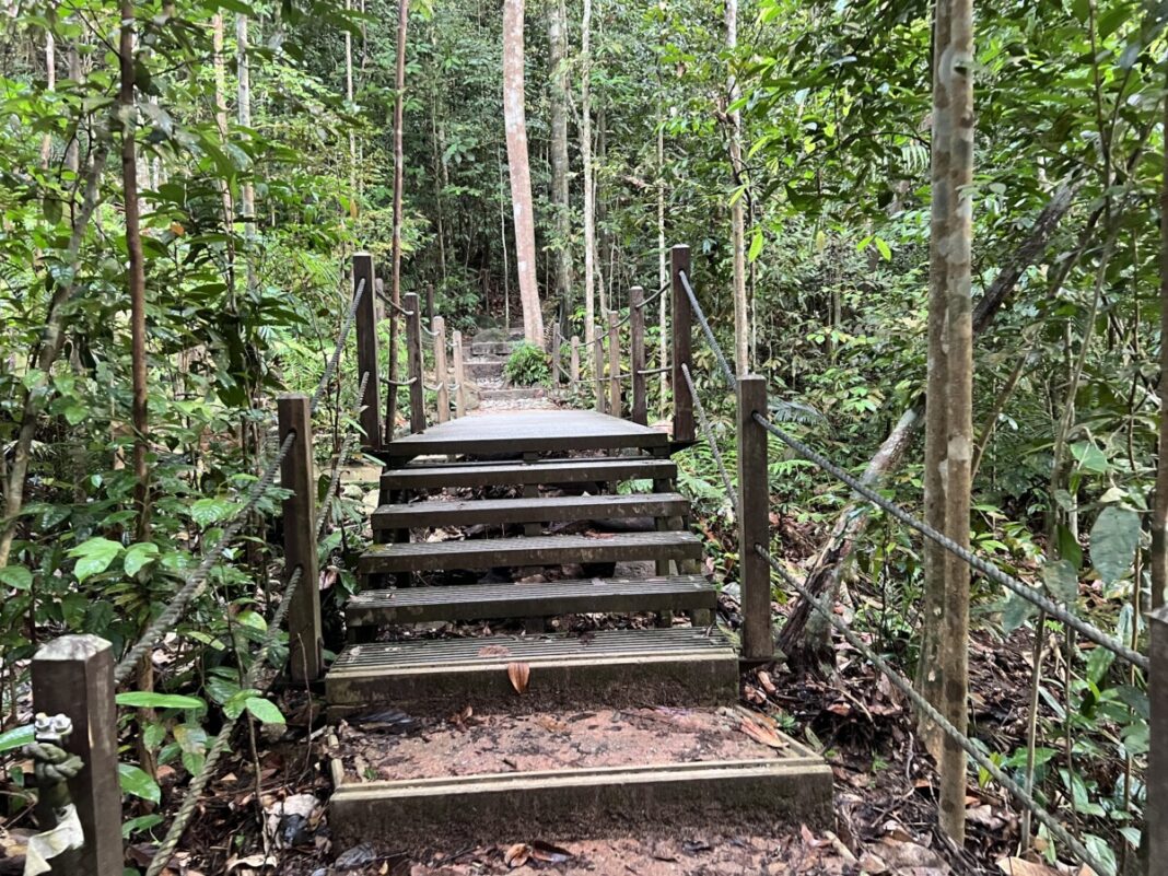 Hiking at Bukit Timah Nature Reserve. The best place to hike in Singapore.