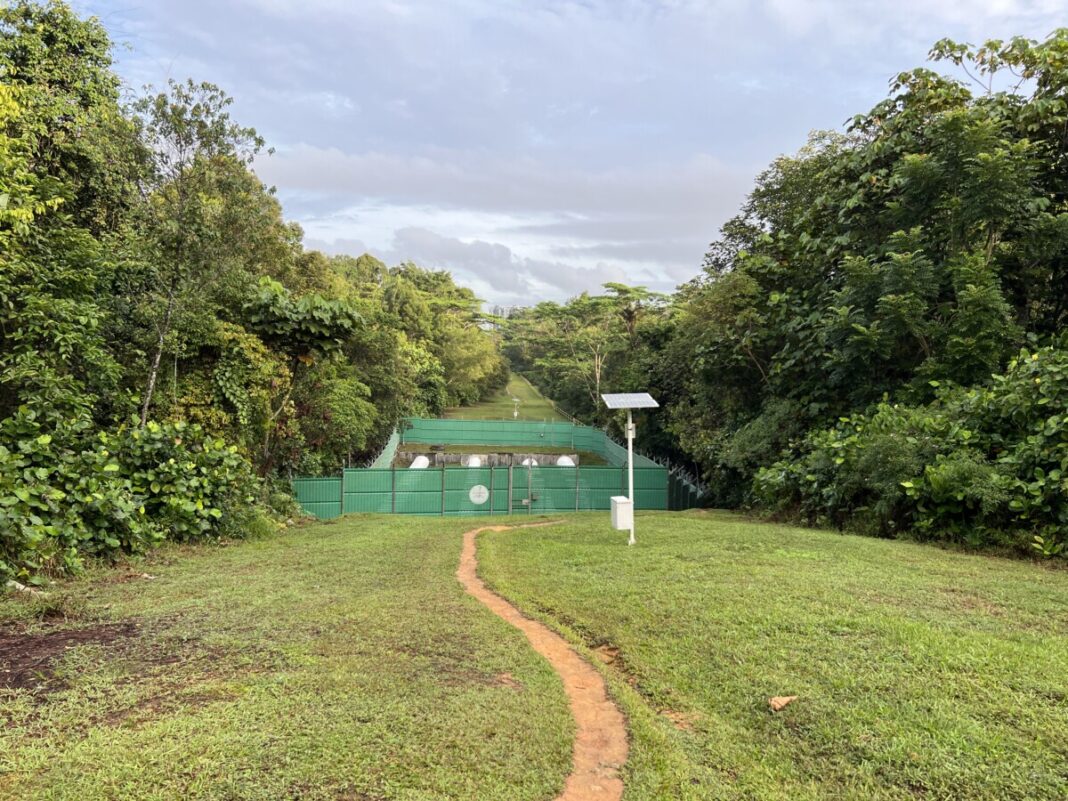 Hiking at Bukit Timah Nature Reserve. The best place to hike in Singapore.