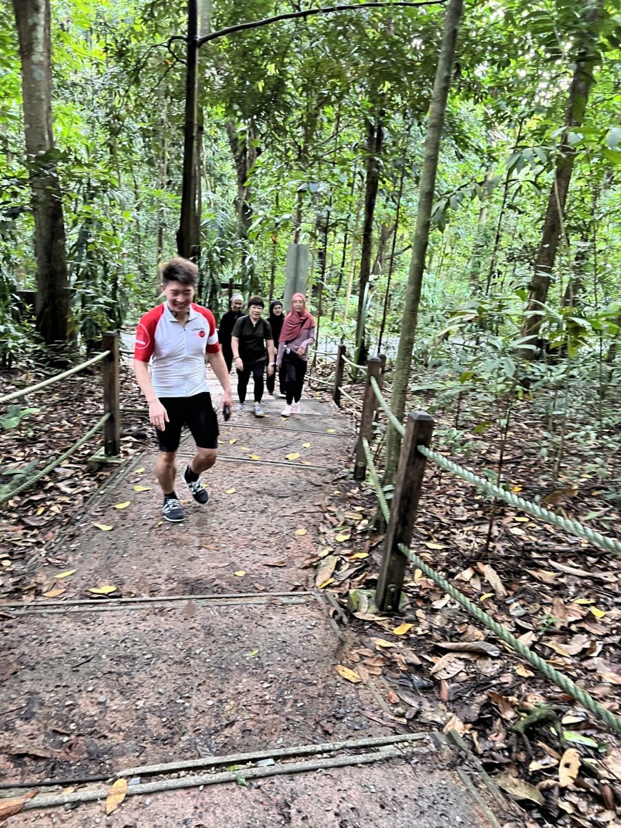 Hiking at Bukit Timah Nature Reserve. The best place to hike in Singapore.