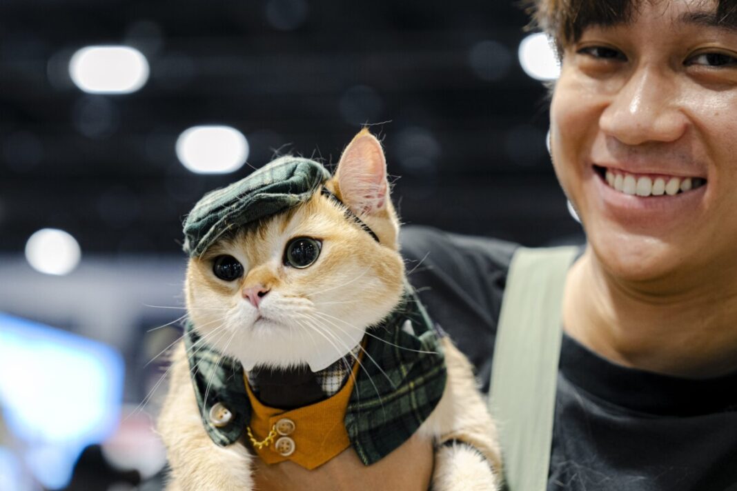 Asia Cat Expo 2026 Suntec Guide