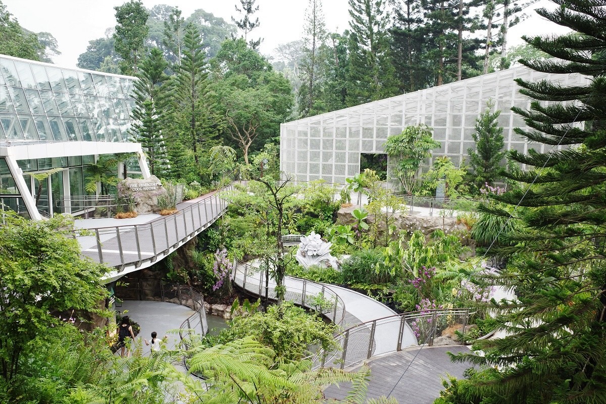 Singapore Botanic Gardens Wellness Walks June 2026: Quiet Routes And ...